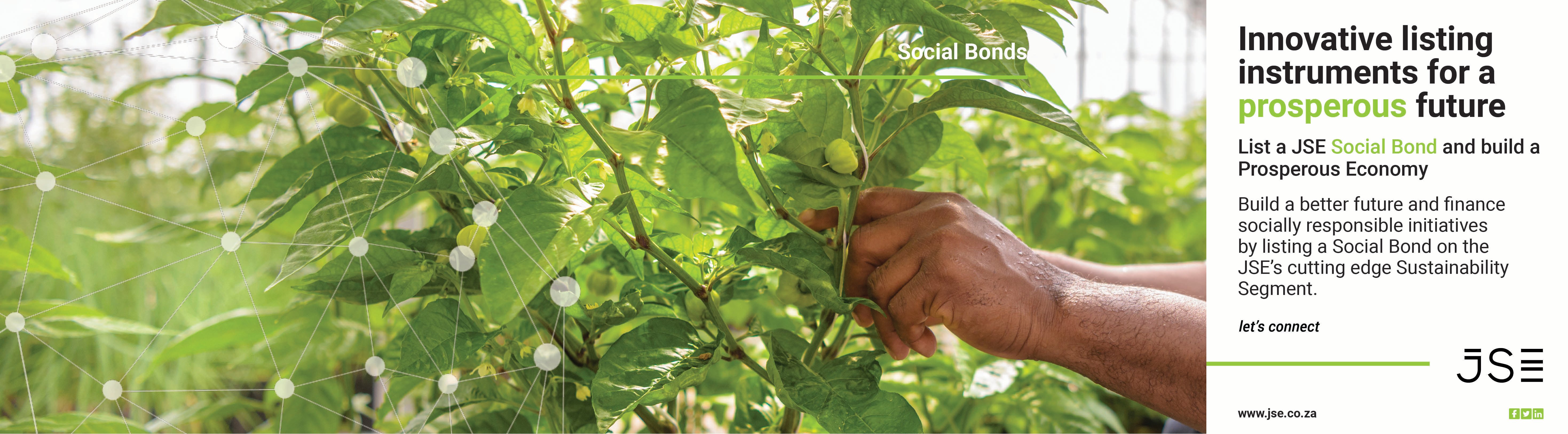 Social Bonds | Johannesburg Stock Exchange