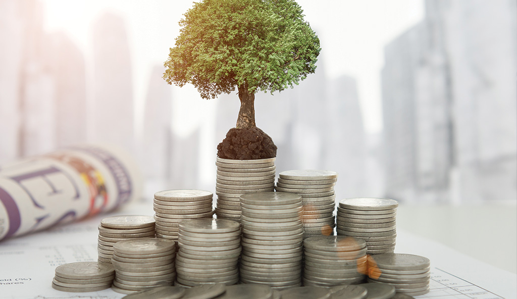 Begin Your Investment Journey with JSE | Learn Now