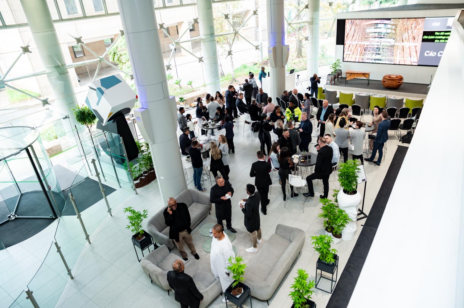 Cilo Cybin Holdings Lists as First Cannabis SPAC on JSE AltX